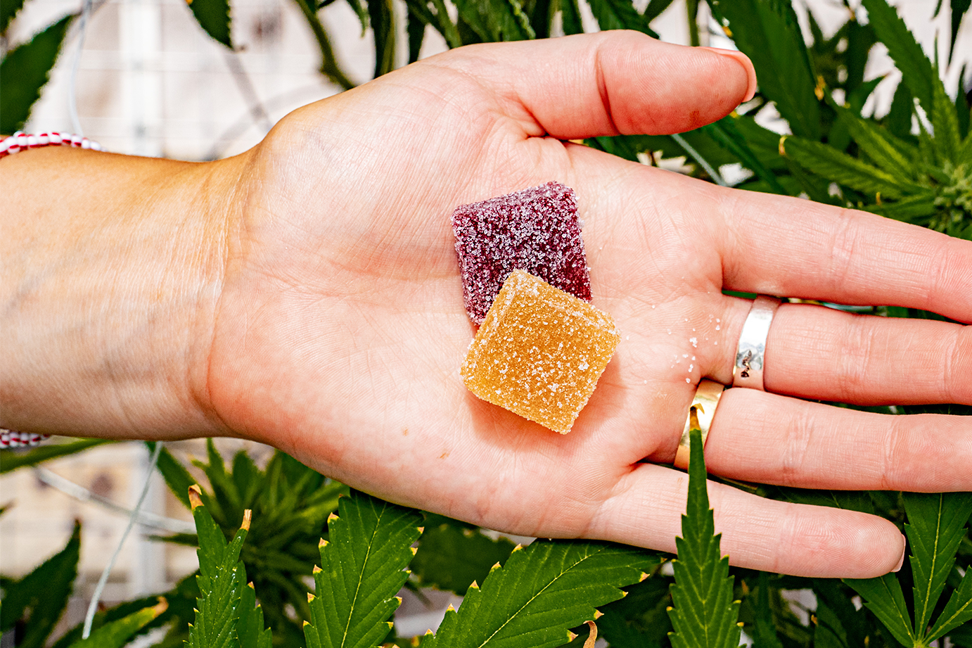 Beginner’s Guide to Cannabis Edibles and Beverages - Calgary Co-op Cannabis